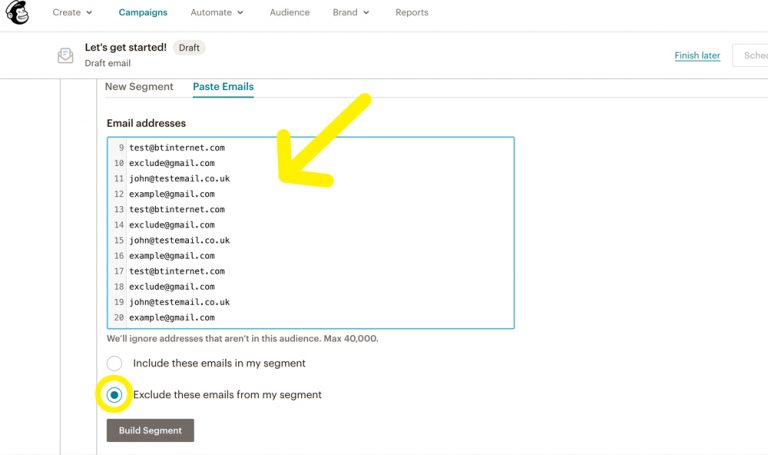 How to exclude contacts from an audience in a Mailchimp campaign – jason pereira
